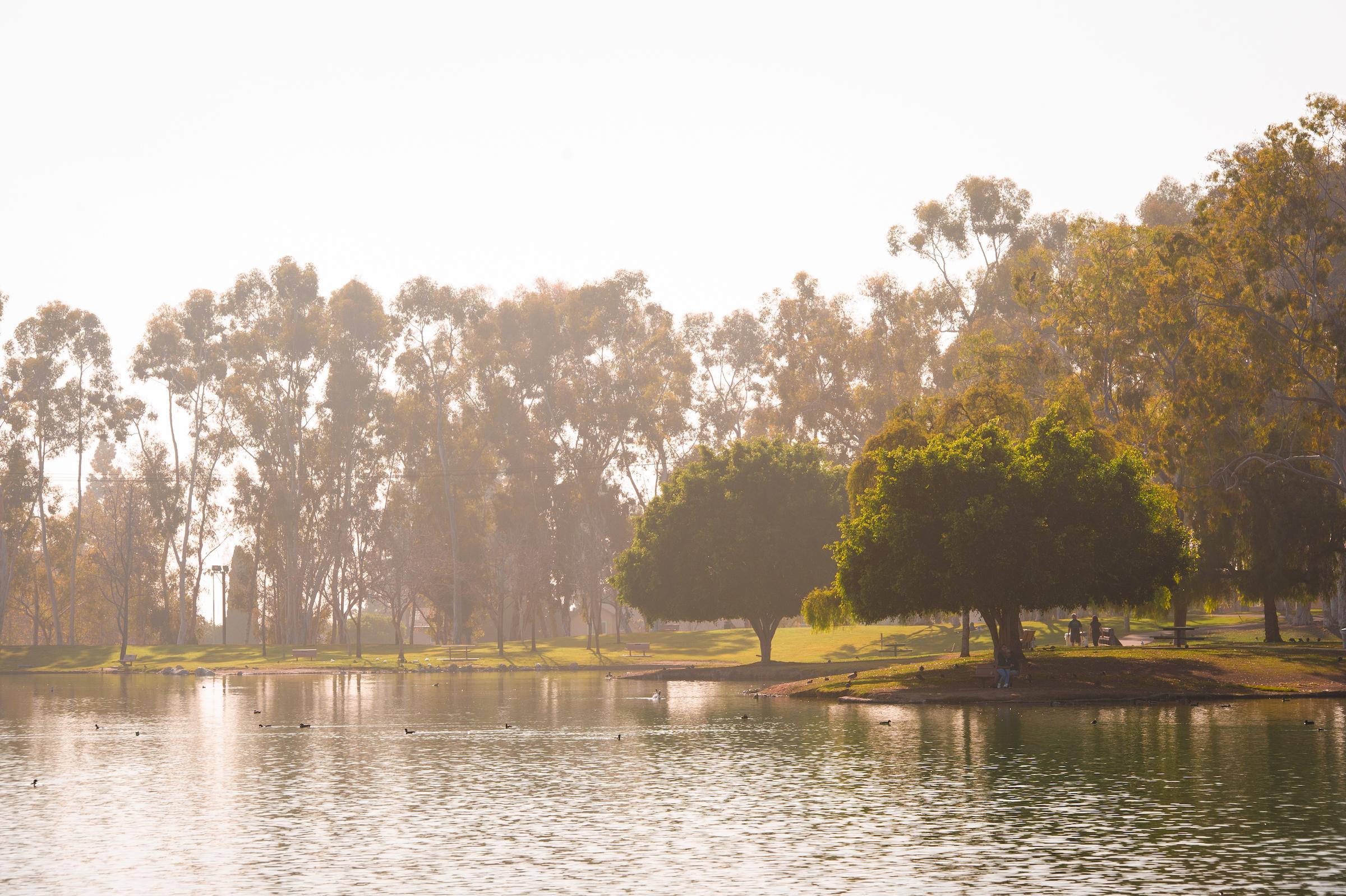 Placentia Approved to Build Senior Community Center in Tri-City ...