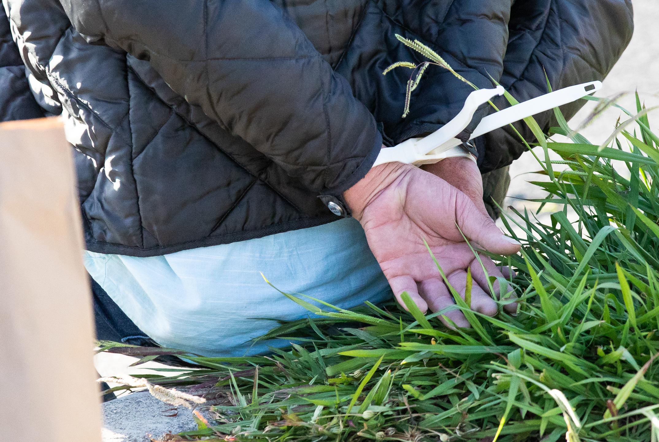 6 Suspects Arrested in Prostitution Sting in South Los Angeles | California Insider