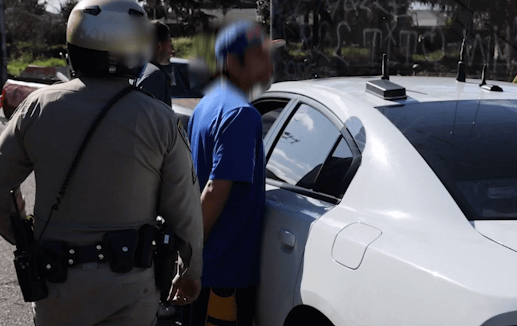 Over 400 Stolen Vehicles Recovered in Northern California CHP Operation ...