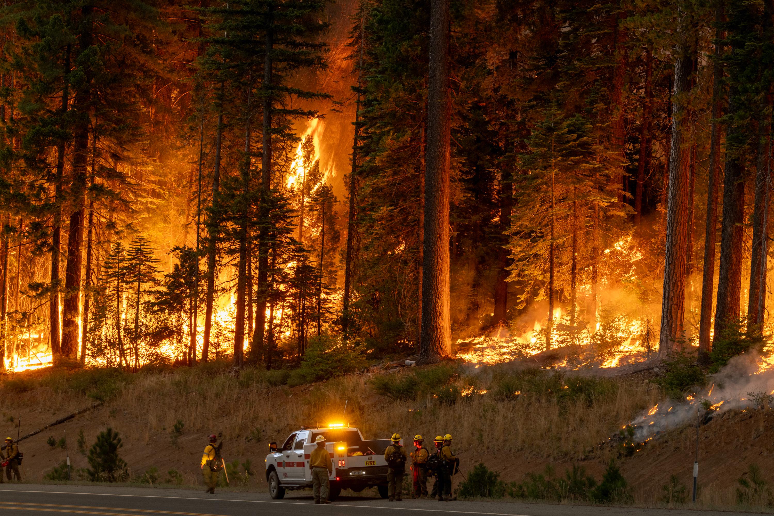 California Wildfires Mostly Manmade; Accidents Outweigh Arson ...