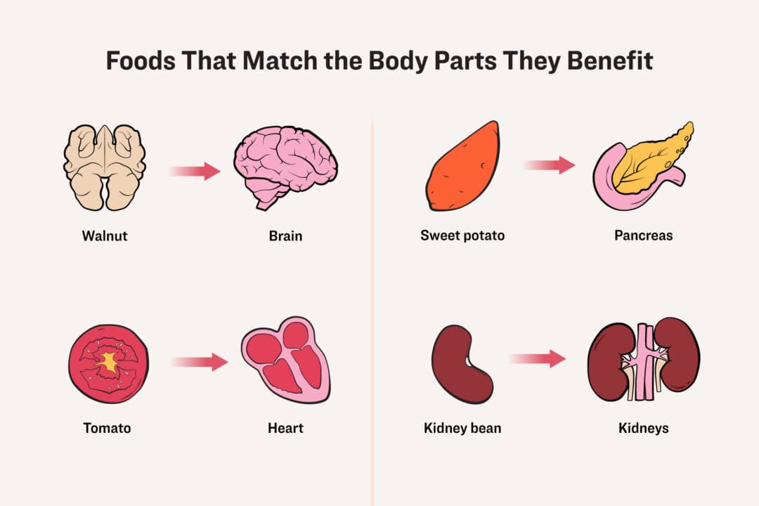 Foods That Look Like the Body Part They Benefit | California Insider